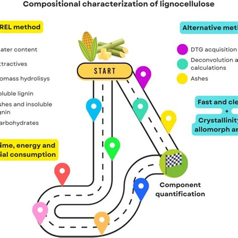 Comparative Diagram Of The Standard And Alternative Compositional