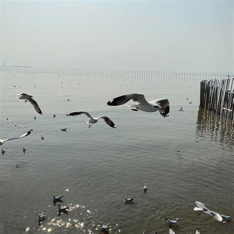 Liverpool In Thailand ทาคุมิ มินามิโนะ ดาวเตะญี่ปุ่นของลิเวอร์พูลที่นอกจากจะได้รับเลือกเป็นแมน