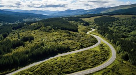 A Winding Forest Road In The Middle Of A Forest Stock Illustration