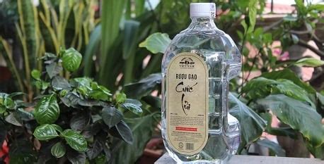 Vietnamese Rice Wine A Glance At The Traditional Beverage