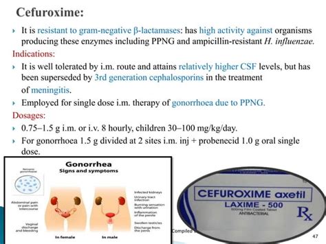 1 3 Penicillins Cephalosporins And Cephamycins Pptx