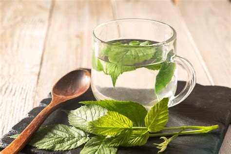5 Health Benefits Of Raspberry Leaf Tea And 3 Risks Tartelette
