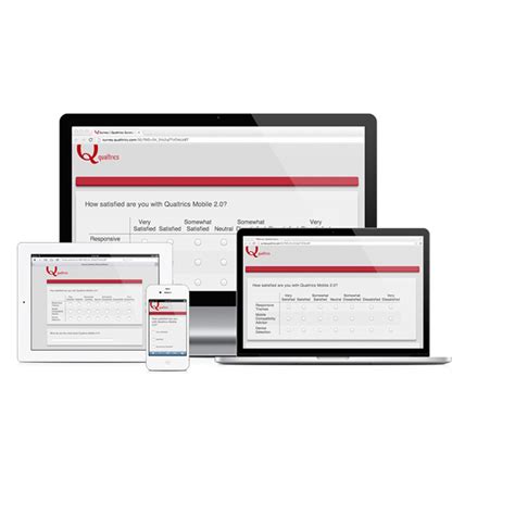 Survey Functions Loyola Marymount University