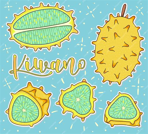 Premium Vector Kiwano Whole And Pieces Vector Stock Illustration