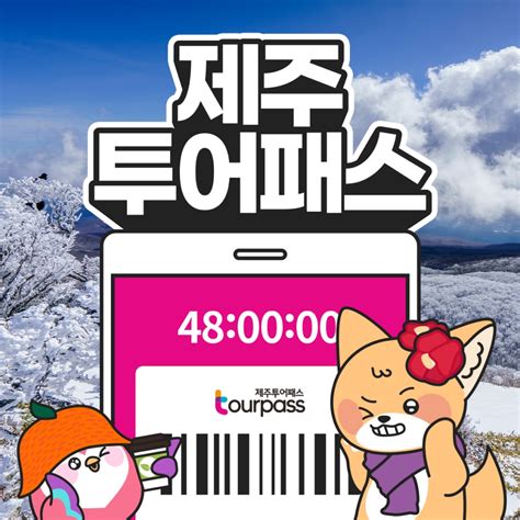 제주투어패스 제주도 공공플랫폼 탐나오