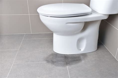 2階のトイレを流すと1階のトイレが逆流詰まりの原因と対策を紹介 おおさか水道職人水道局指定工事店