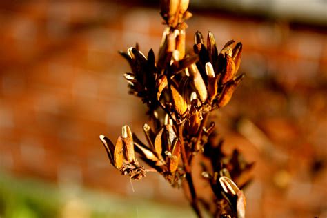 Rust Around The Edges By Christawashere On Deviantart