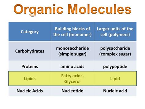 Carbs Lipids Proteins Nucleic Acids Chart