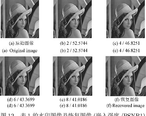 Figure 12 From A Reversible Image Watermarking Algorithm Using Linear Space Hiding Model