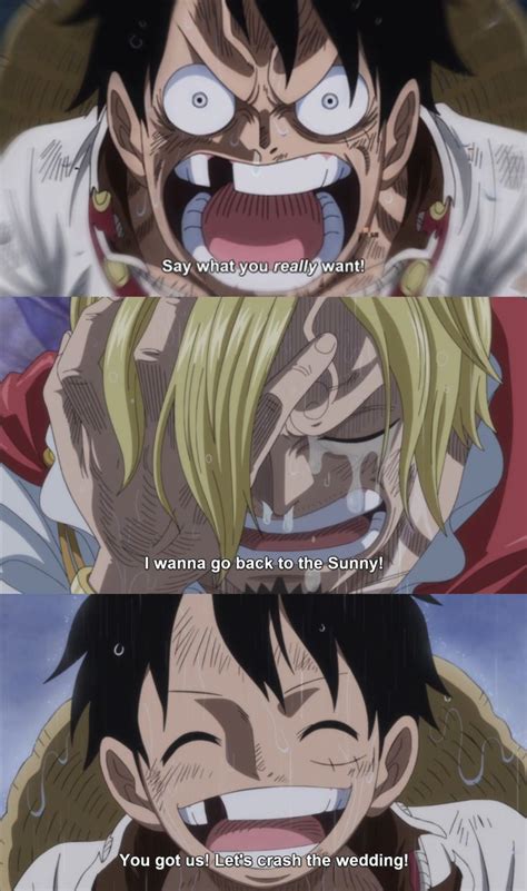 Monkey D Luffy Sanji Vinsmoke Strawhat Pirates Mugiwaras One Piece
