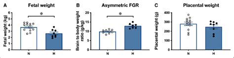 Hypoxic Pregnancy Causes Asymmetrical Fetal Growth Restriction Fgr