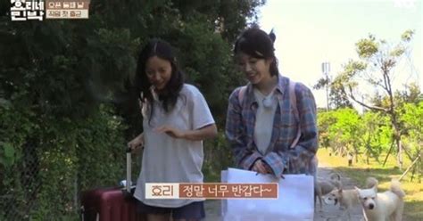 효리네 민박 아이유 정말 몰랐다 너무 반갑다