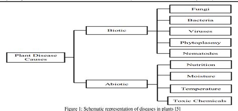 figure 1 from plant disease detection using convolutional neural
