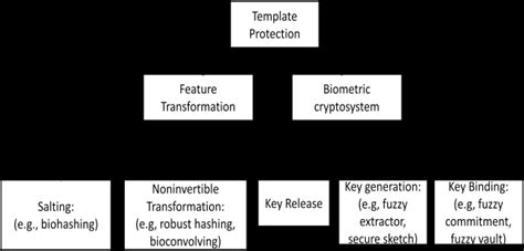Categories Of Biometric Template Protection Download Scientific Diagram