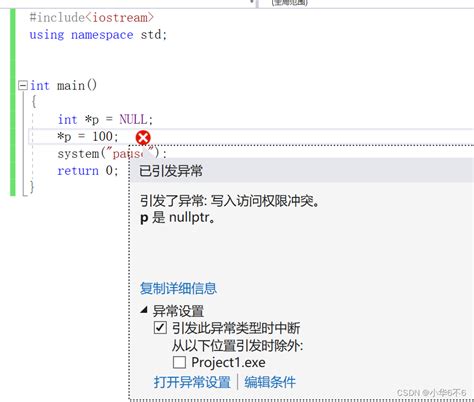 C复习之空指针、野指针 Csdn博客