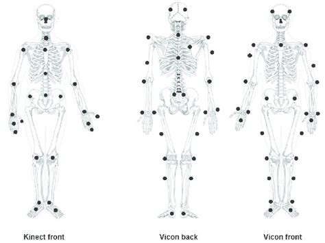 Illustration Of Marker Locations For Kinect Skeleton Model And Vicon Download Scientific