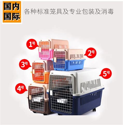 提供宠物托运容器 航空箱 钢筋笼等 专业狗狗 猫咪托运 上海国际宠物托运公司