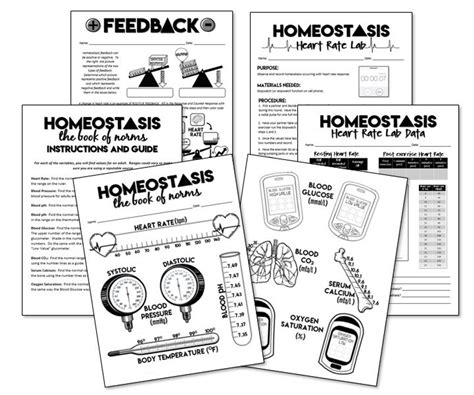 Homeostasis Activities Great For Health Science Amped Up Learning