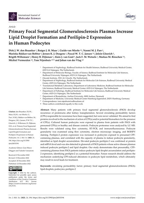 PDF Primary Focal Segmental Glomerulosclerosis Plasmas Increase Lipid Droplet Formation And