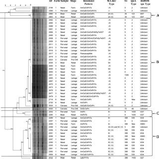 Dendrogram Of Cfr I Macrorestriction Pfge Profiles Of Representative