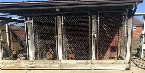 Img E2461 — Postimages