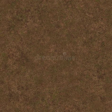 Texture Ground Grass Brown Nature Background Stock Image Image Of