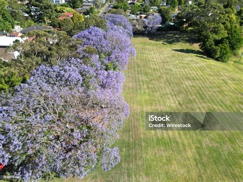 Scenic Landscape Featuring A Picturesque Field Of Lush Green Grass