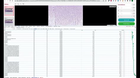 Postgresql Mysql Dicomweb Performance Improvements