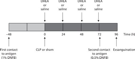 Figure 1 From Activity Of Lymphocyte Subpopulations In Polymicrobial