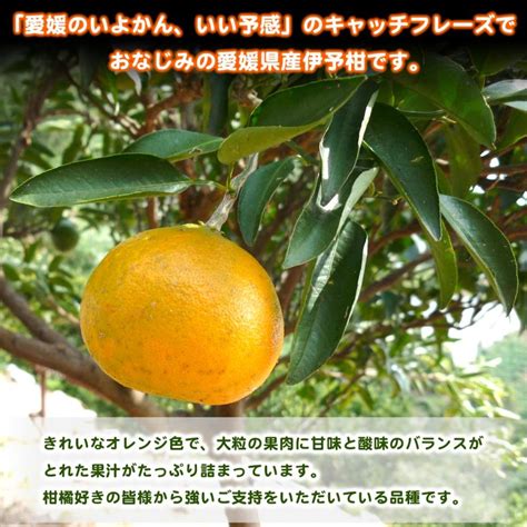 Kg Iyokan