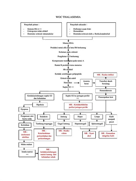 Pdf Woc Thalasemia Compress Pdf