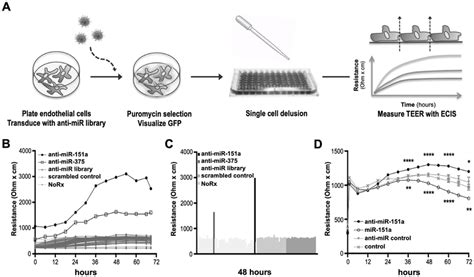 Identification Of Mirs Regulating Cell Cell Contact A Schematic