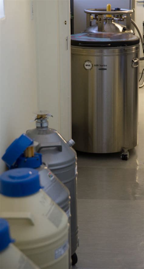 Our Facilities Medfem Fertility Clinic Sandton