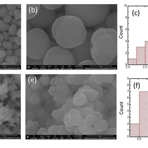 Particle Size Analysis Of NIP And MIP Particles A B SEM Image Of