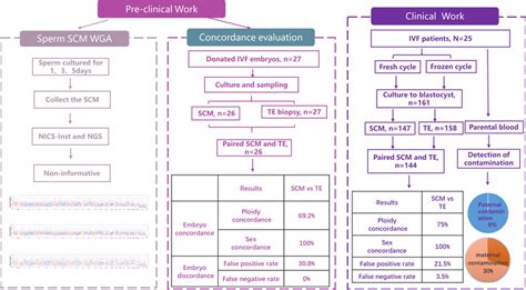 Illustration Of The Systematic Validation Of The Ivfnics Assay Two