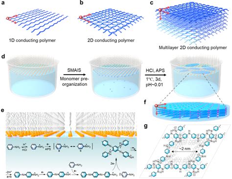 Scientists Synthesize 2d Polyaniline Crystal With Unique Metallic Out Of Plane Conductivity
