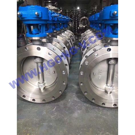 Apidin Cast Steel Flange Pressure Eccentric Gear Wcb Lcb Body Ss304