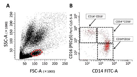 Figure 1 From Circulating Cd14cd16 Monocyte Subsets As A Surrogate