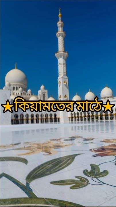 আস্তাগফিরুল্লাহ।কিয়ামতের মাঠে অহংকারিরা ছোট ছোট কালো পিঁপড়া হয়ে সামনে আসবে। Youtube
