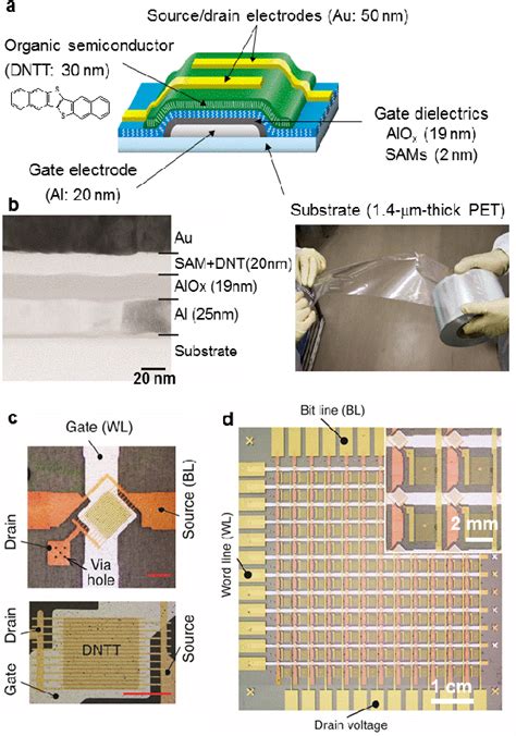 Figure 1 From Ultraflexible Organic Transistor Active Matrix Using Self