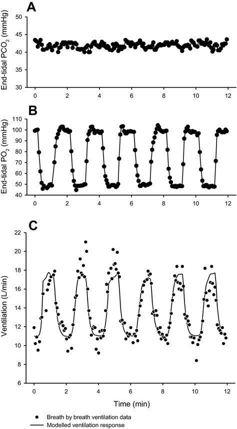 Example Of A Volunteers Ventilatory Response During The Acute Cyclical Download Scientific