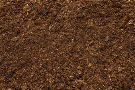 Premium Photo Soil Texture Background For Gardening Concept