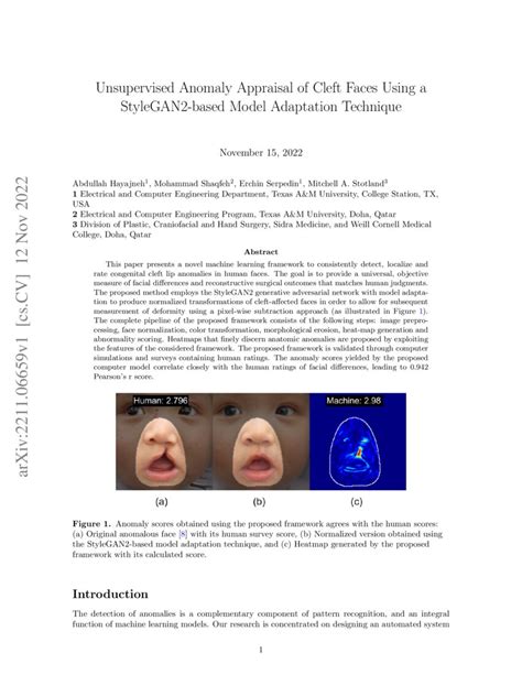 Unsupervised Anomaly Appraisal Of Cleft Faces Using A Stylegan2 Based