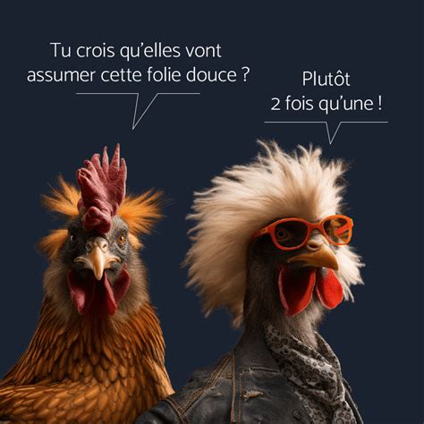 Les coulisses de la création gallinac