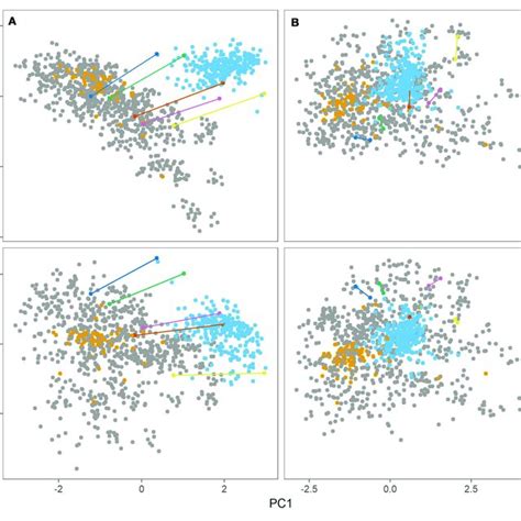 Principal Component Analysis Pca Of Genomic Relationship Matrix