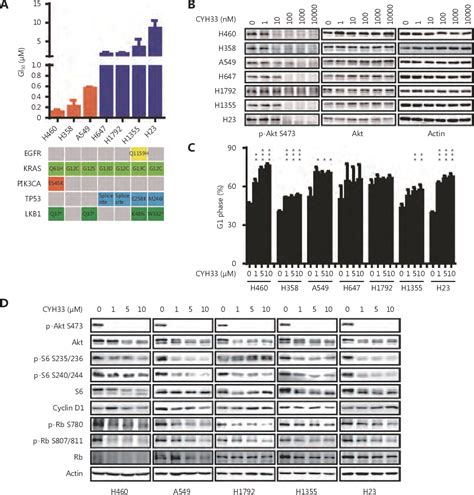 Figure 1 From Simultaneous Inhibition Of Pi3kα And Cdk46
