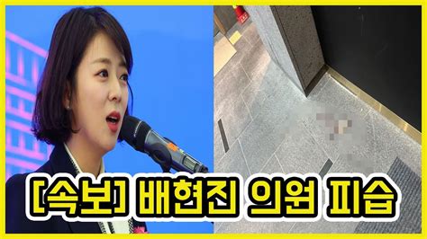 속보 배현진 의원 피습 도람뿌 Youtube