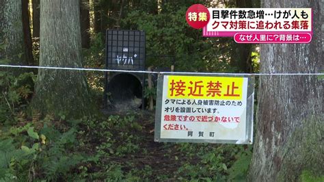 【特集】増えるクマ被害 目撃件数が急増 県内のクマ出没件数は2倍に 対策に追われる山間の集落はー 《新潟》 Youtube