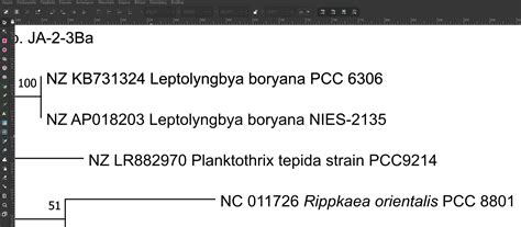 [help] editing text keeps creating a clone of the whole text box