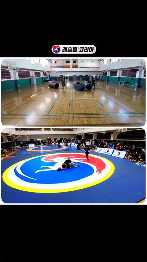 레슬링코리아 군산 폴짐 유소년 청소년 일반인 수업 군산에서 최고의 팀을 운영하고 있는 군산 폴짐입니다 다양한 수업과 질로 만족시켜드리겠습니다 Korea